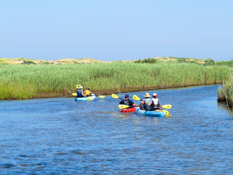 Top Family Activities on Cape Cod: 2021 Winners - Cape Cod Vacation ...