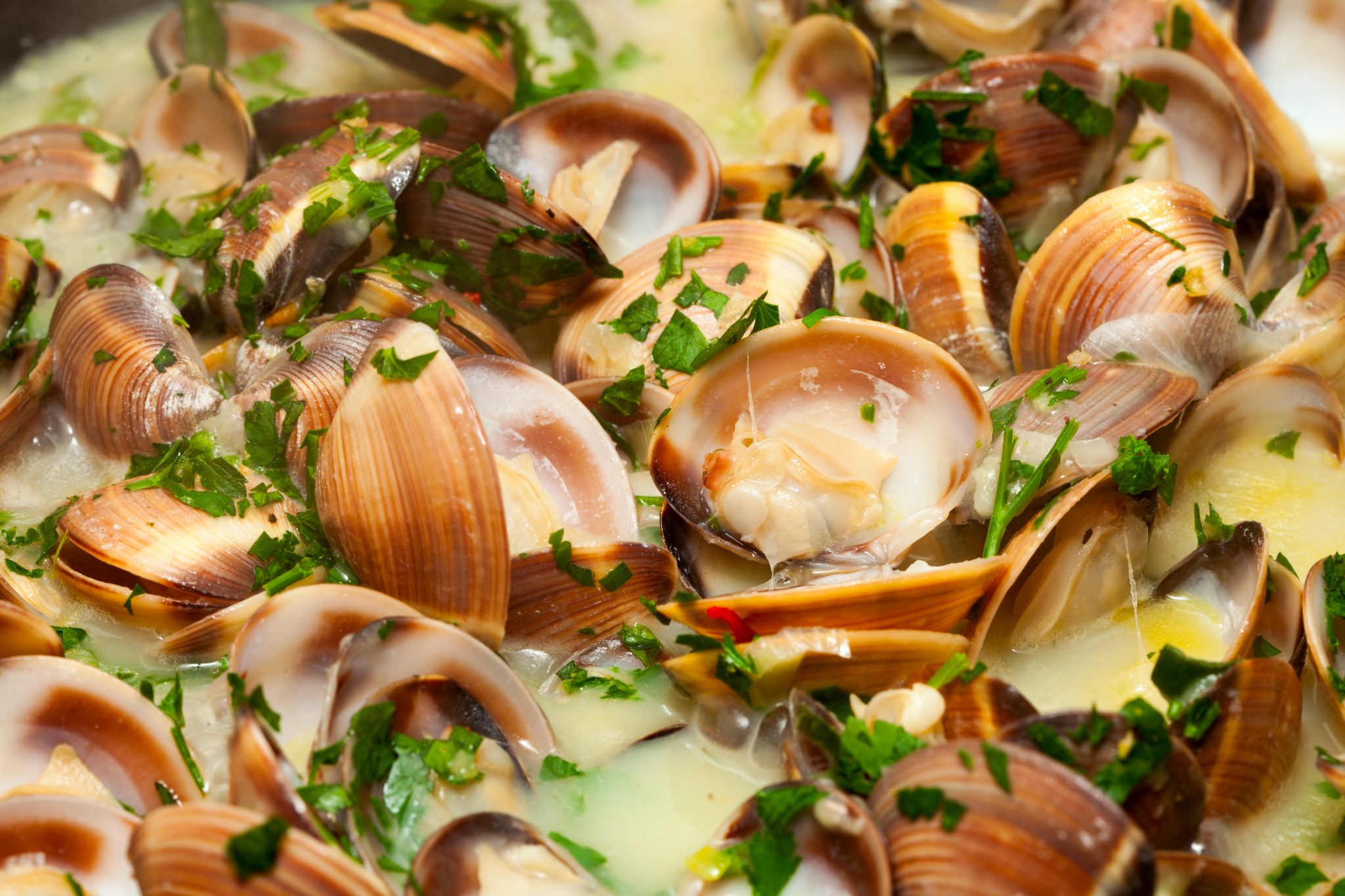 Best Clam Chowder on Cape Cod - 11 Winners! - Cape Cod Vacation Rentals ...